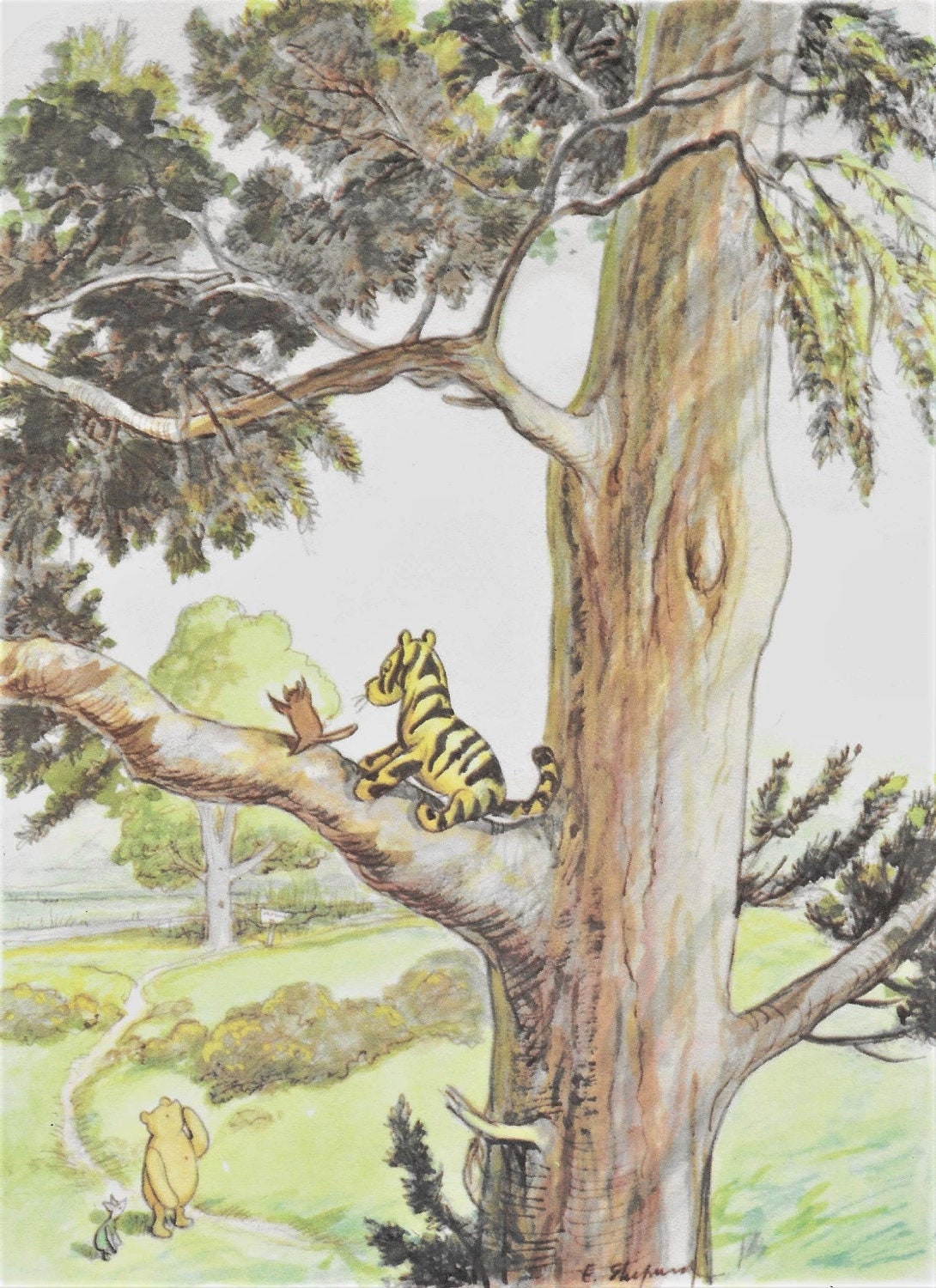 Winnie The Pooh TIGGER Piglet Rooh Vintage Matted 1957 Print | Etsy