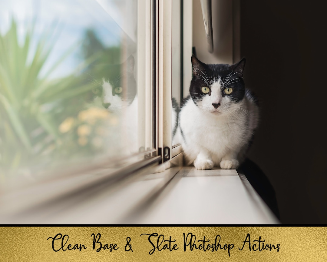 Clean Base + Slate Creative Colour Action Set - Lifestyle, Studio ...