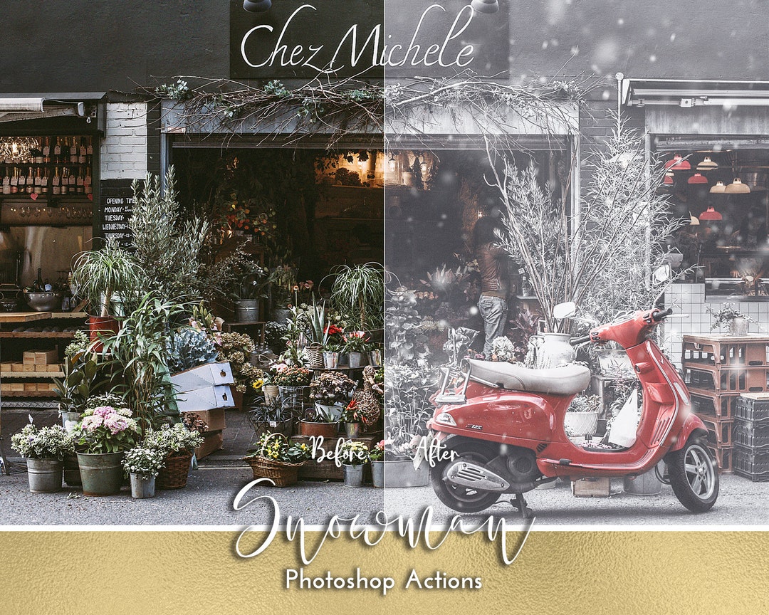 Snowman Snow Photoshop Action and Snow Fall Overlays - Etsy Australia