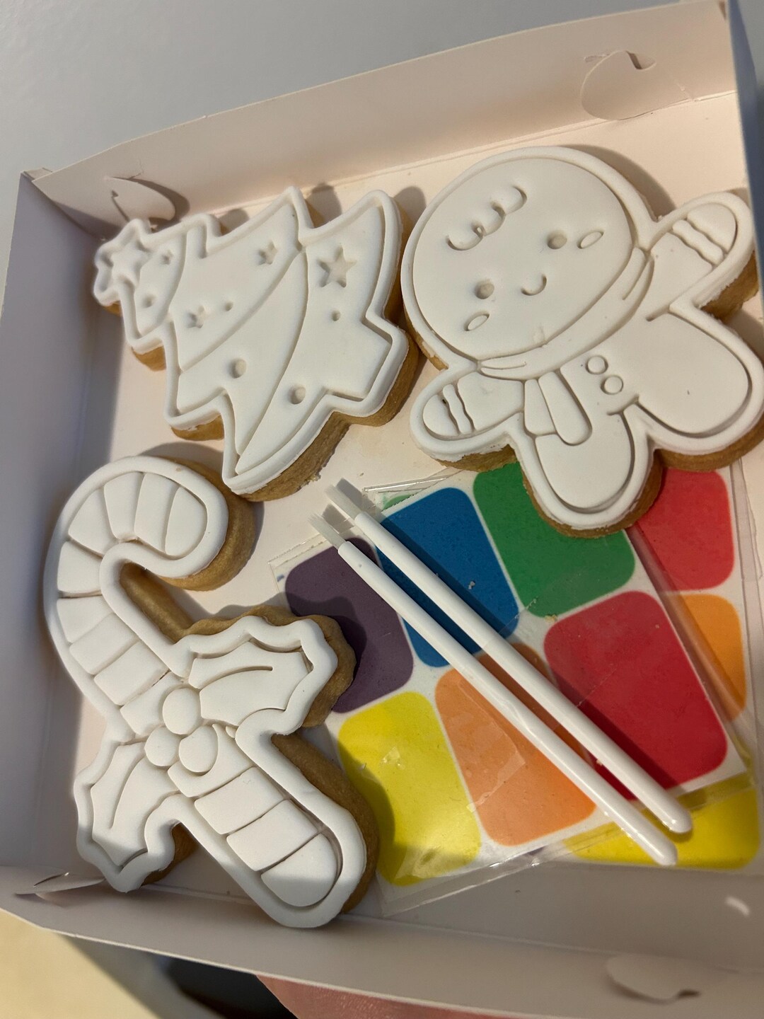 Paint Your Own Christmas Cookie Kit - Etsy Australia