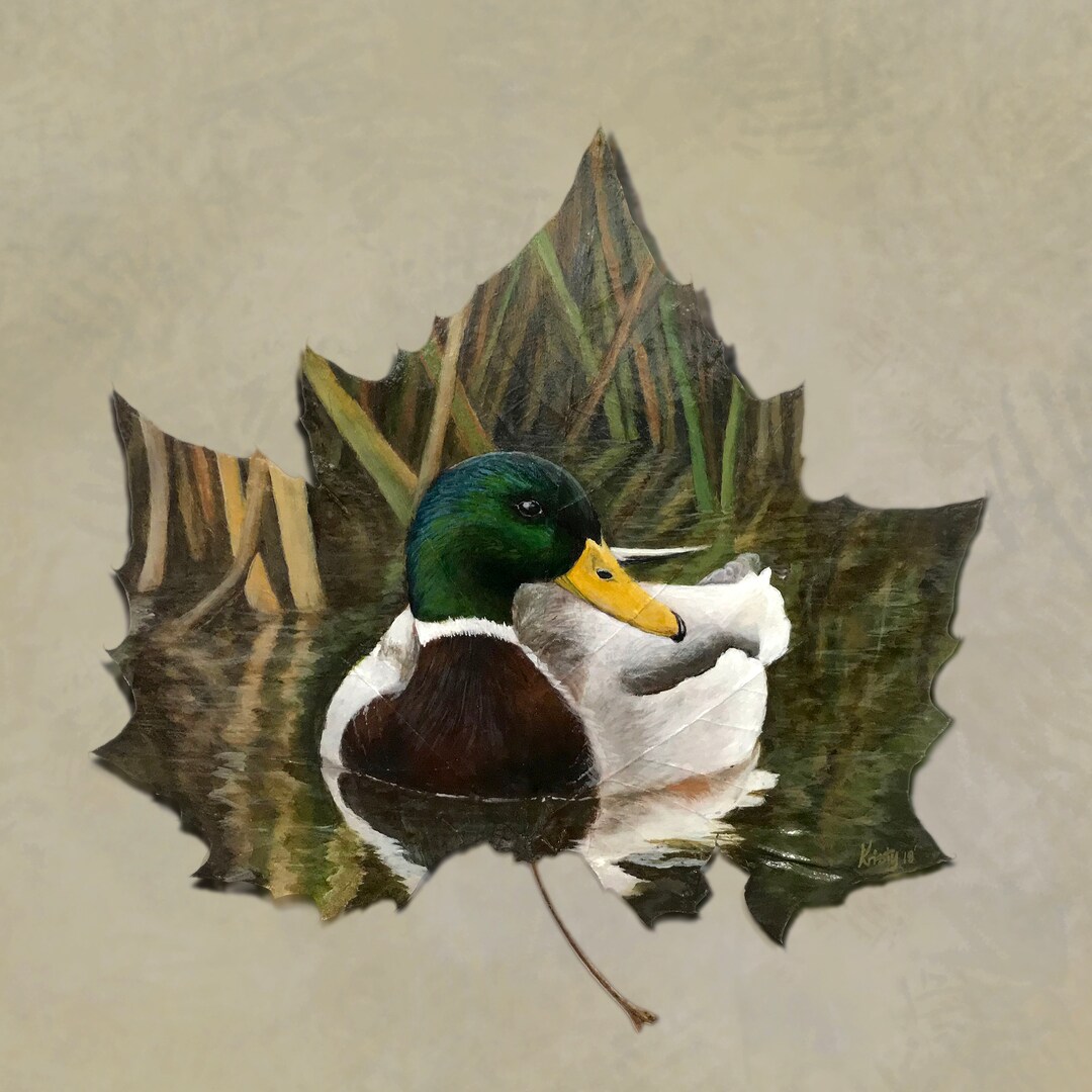 Mallard Duck | **fine Art Print** | 8x8, 12x12, 14x14 - Etsy