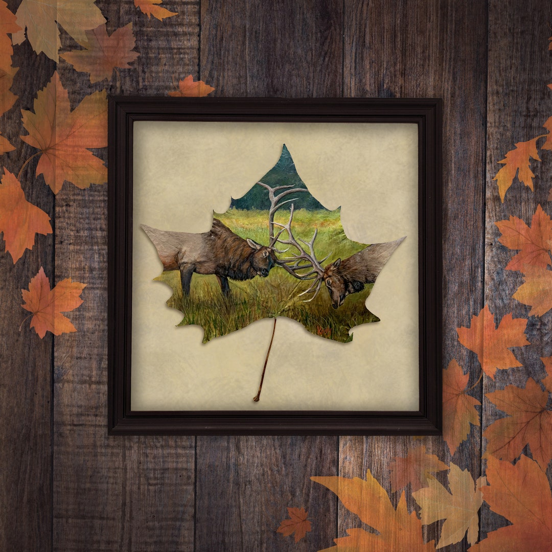 Elk Fighting | **fine Art Print** | 8x8, 12x12, 14x14 - Etsy