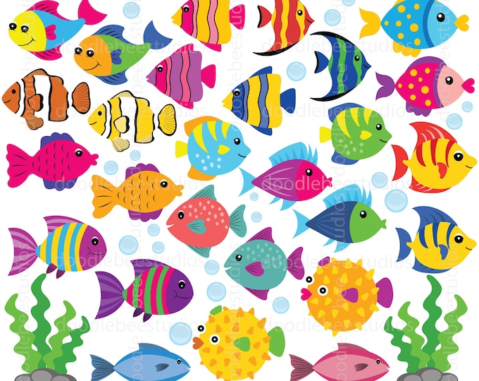Fish Clipart, Colorful Fish Clip Art, Fishing Clipart, Digital Fish ...