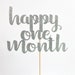 Happy One Month Cake Topper Baby Decorations Newborn Smash Cake Topper ...