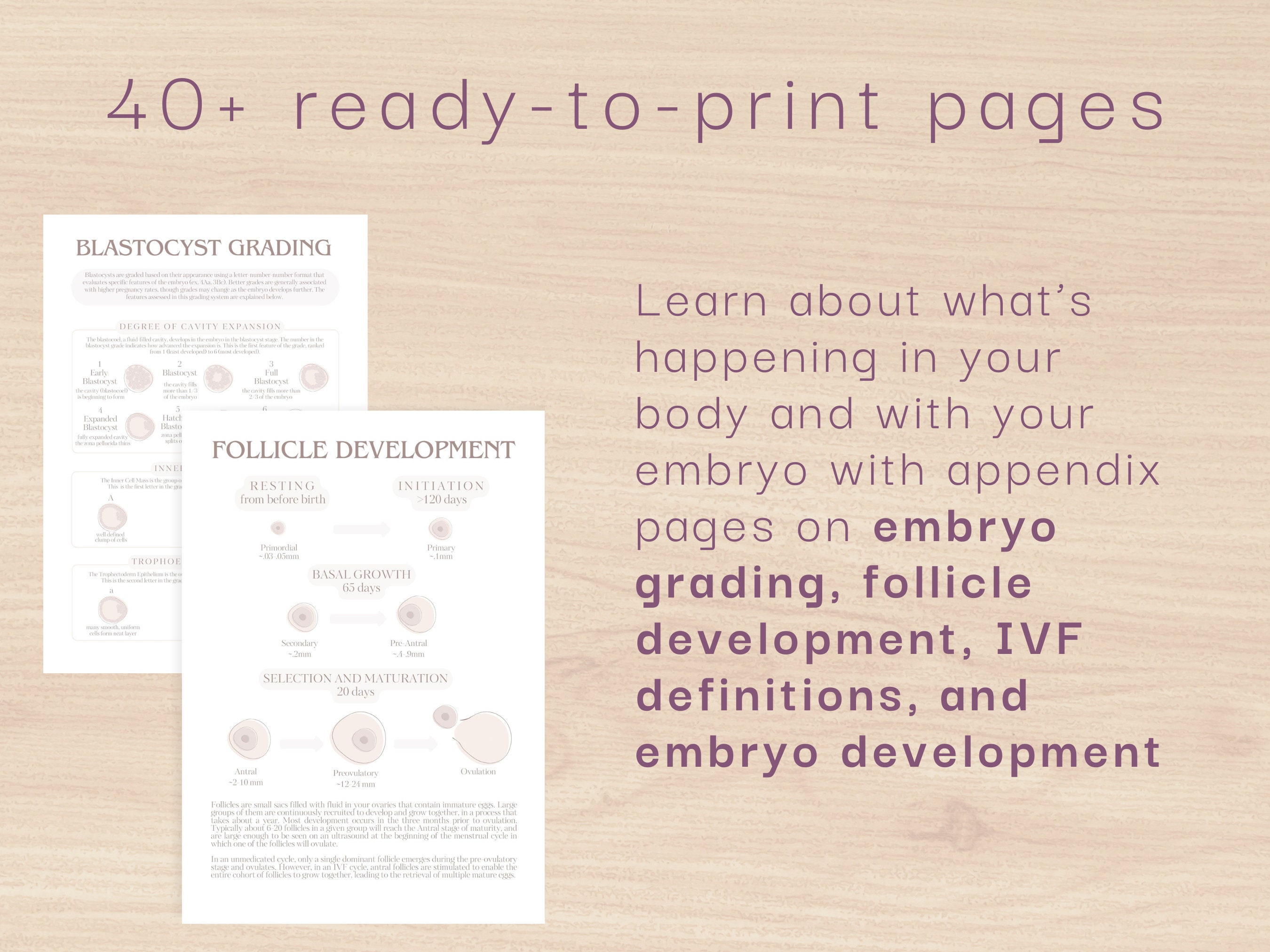 Downloadable IVF Planner & Fertility Journal - Etsy
