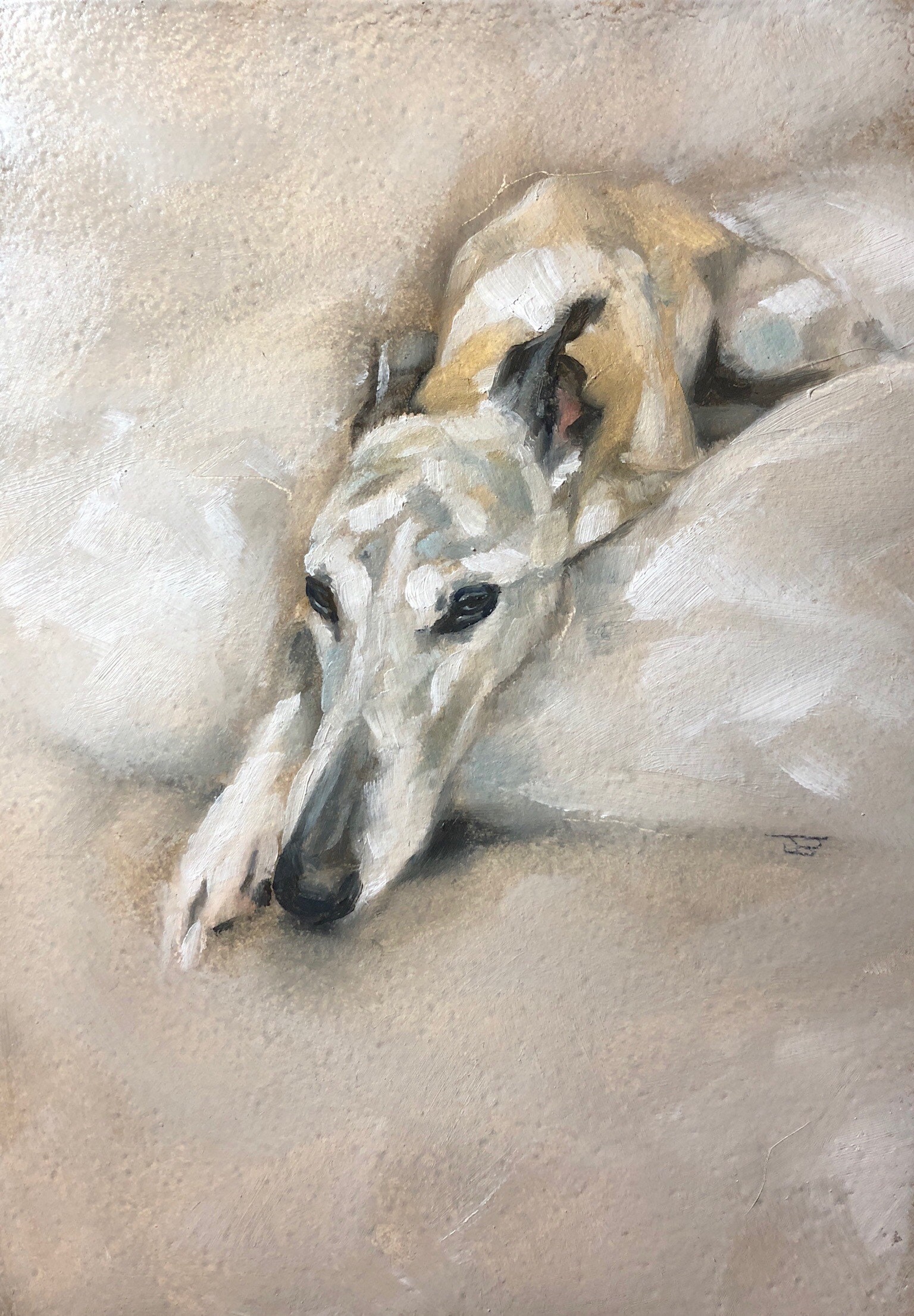 Whippet art whippet whippet print whippet picture | Etsy