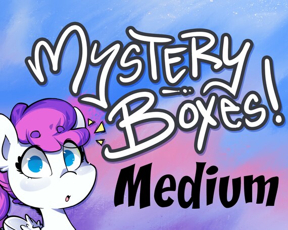 MLP Mystery Box Medium My Little Pony Surprise Family Gift | Etsy Australia