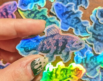 Algae Growing Kit. - Etsy