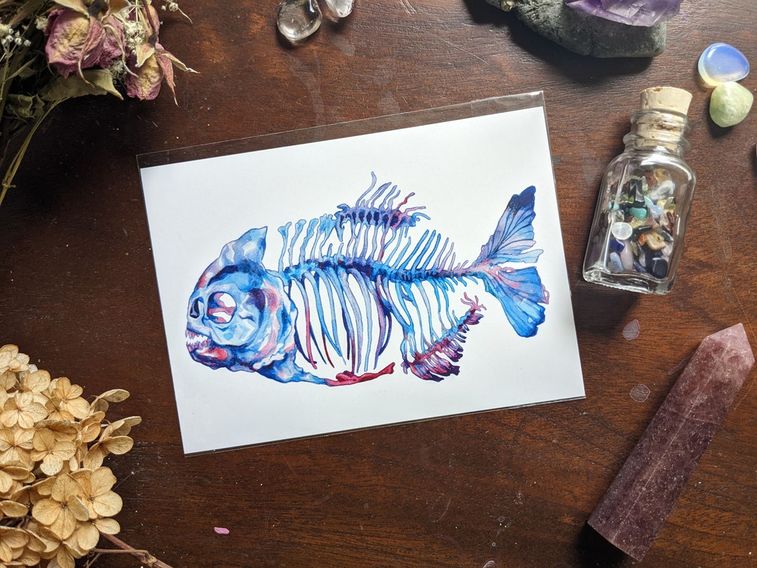Piranha Fish Skeleton 5x7 Matte Photo Print - Etsy