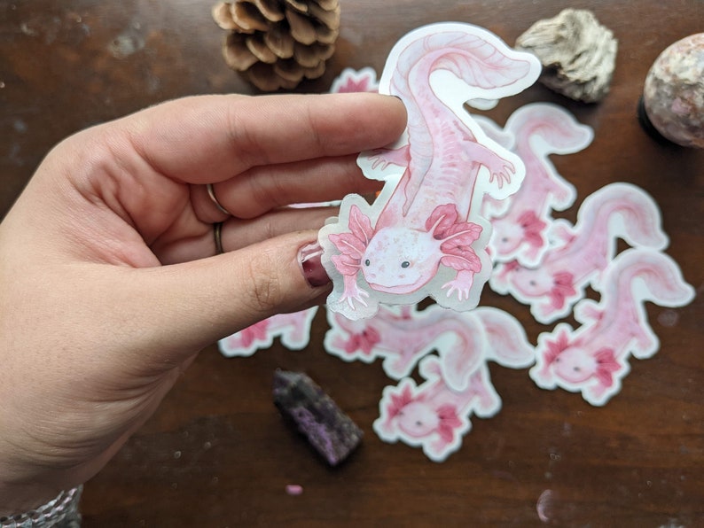 Clear Axolotl Sticker - Etsy