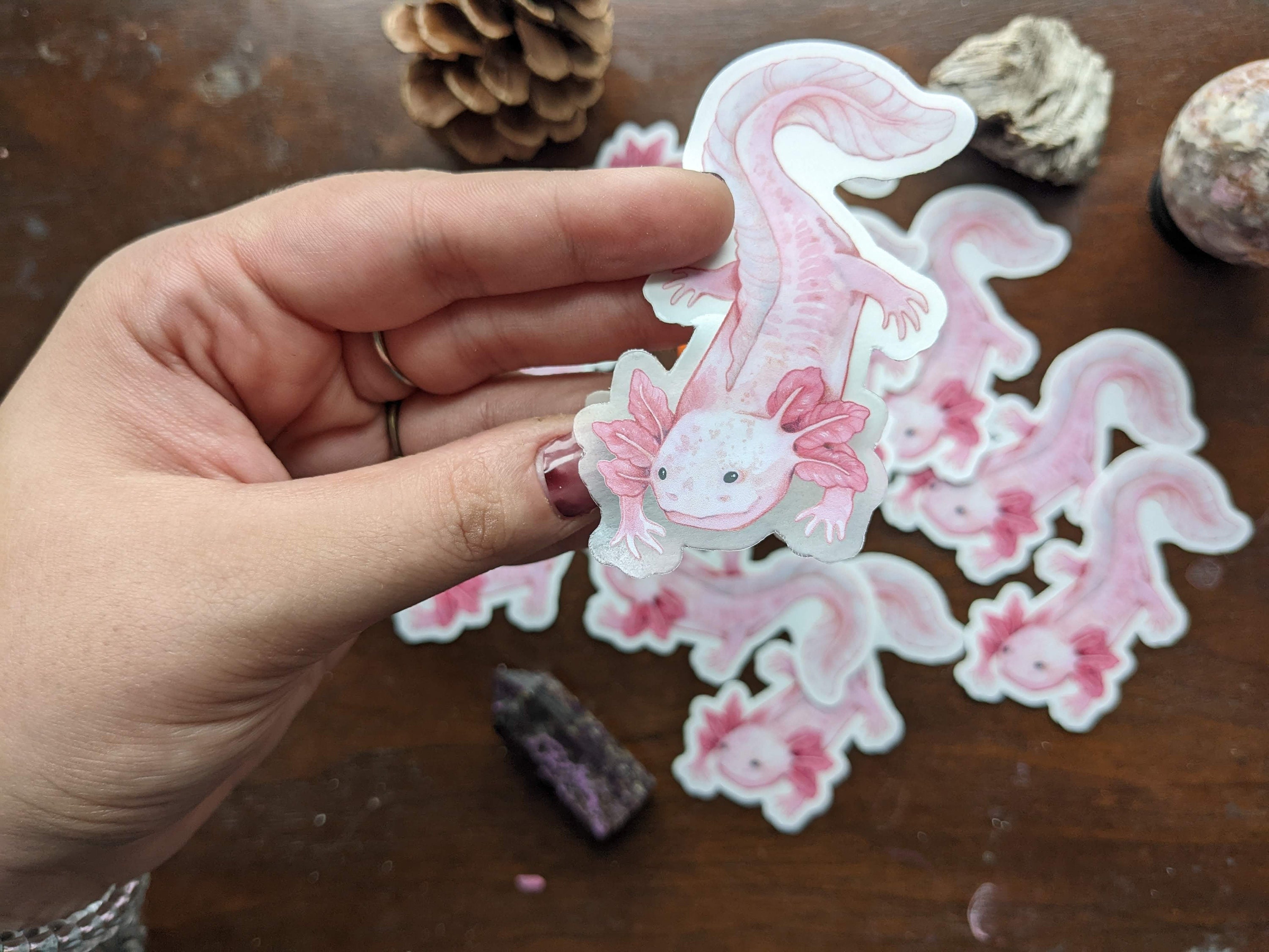 Clear Axolotl Sticker - Etsy