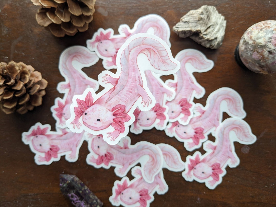 Clear Axolotl Sticker - Etsy