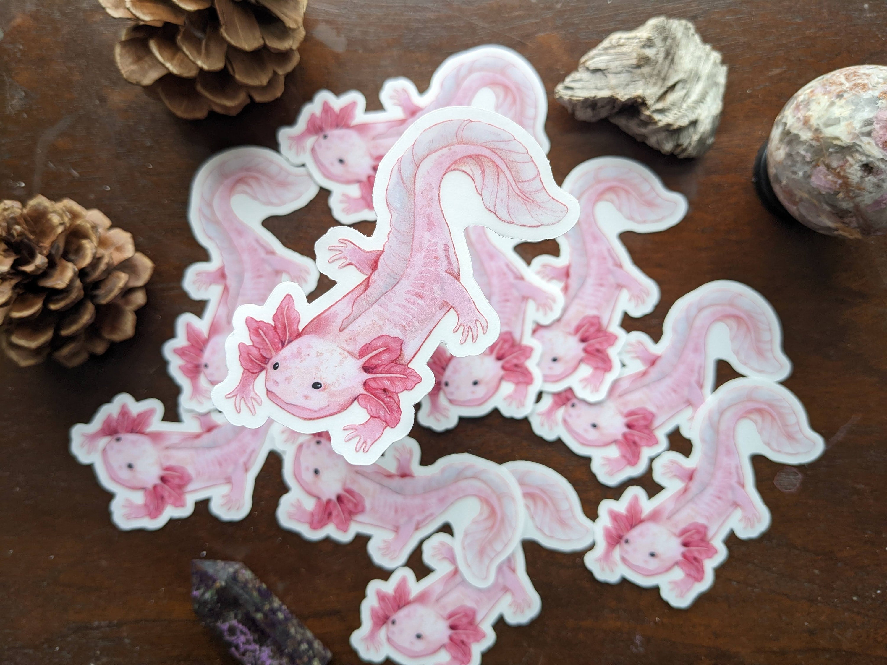 Clear Axolotl Sticker - Etsy