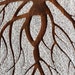 Tree Root String Art Silhouette Minimalist Wall Decoration, String Art ...
