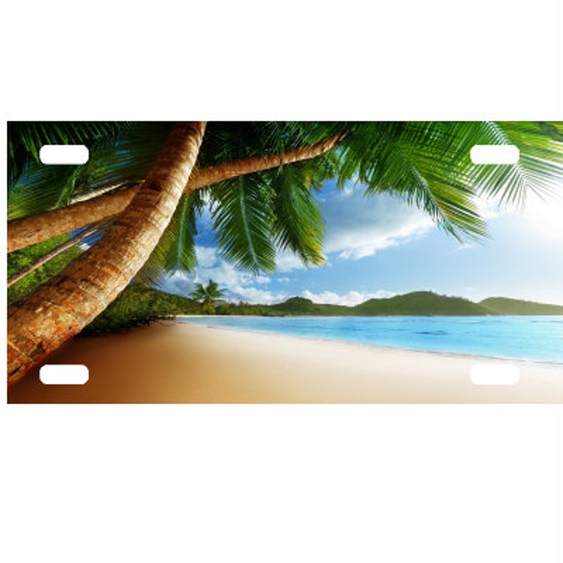 Palm Tree Beach License Plate - Etsy