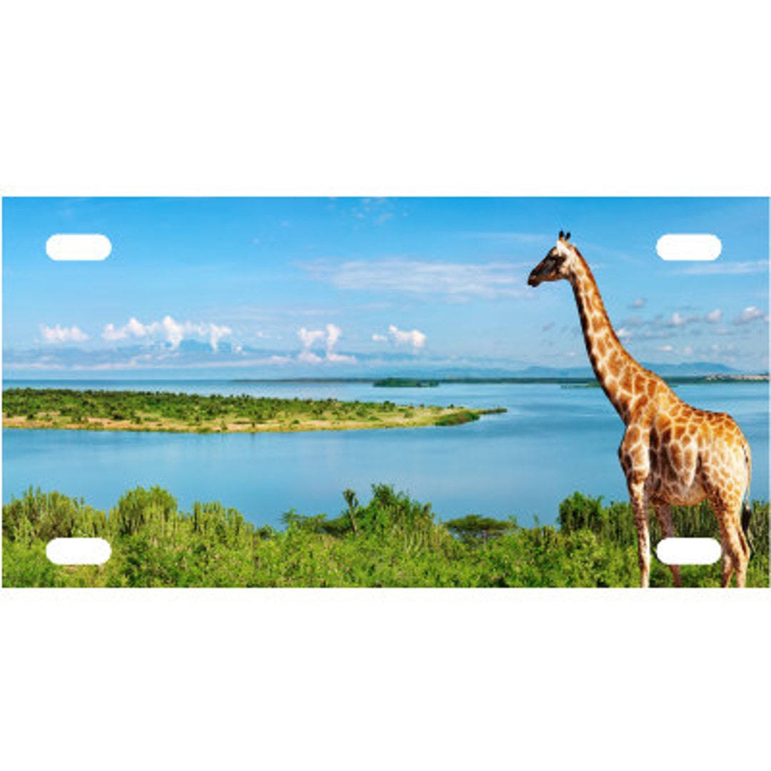 Giraffe License Plate/ Giraffe Beach - Etsy