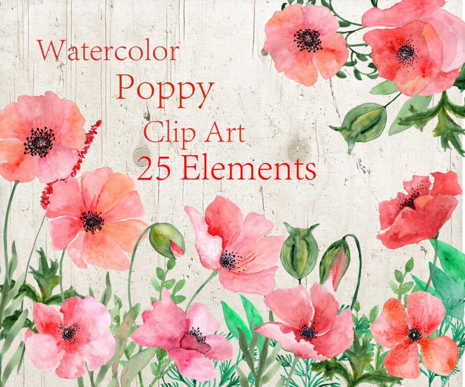 Watercolor Poppy Flowers Clipart Watercolor Floral Clipart Red - Etsy