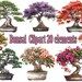 Bonsai Tree Clipart,watercolor Bonsai,bonsai Png,japanese Clipart ...