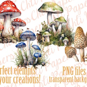 Mushrooms Watercolor Clipart,toadstools Png Clipart,forest Mushrooms ...