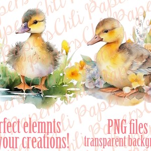 Ducklings Clipart,fluffy Ducklings Png,baby Duck Clipart,cute Farm ...