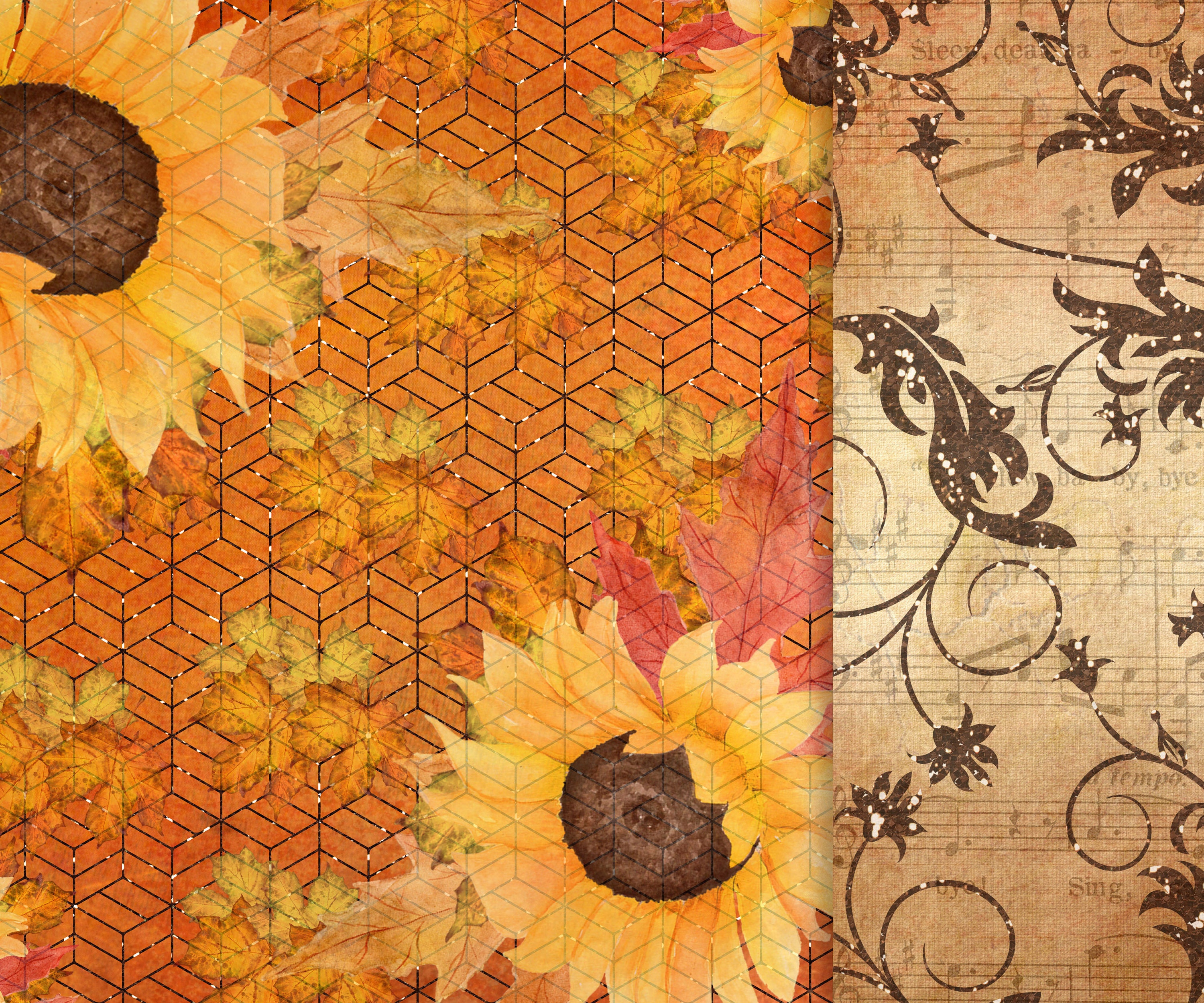 Fall Digital Papers: sunflower PAPER Pack Autumn | Etsy