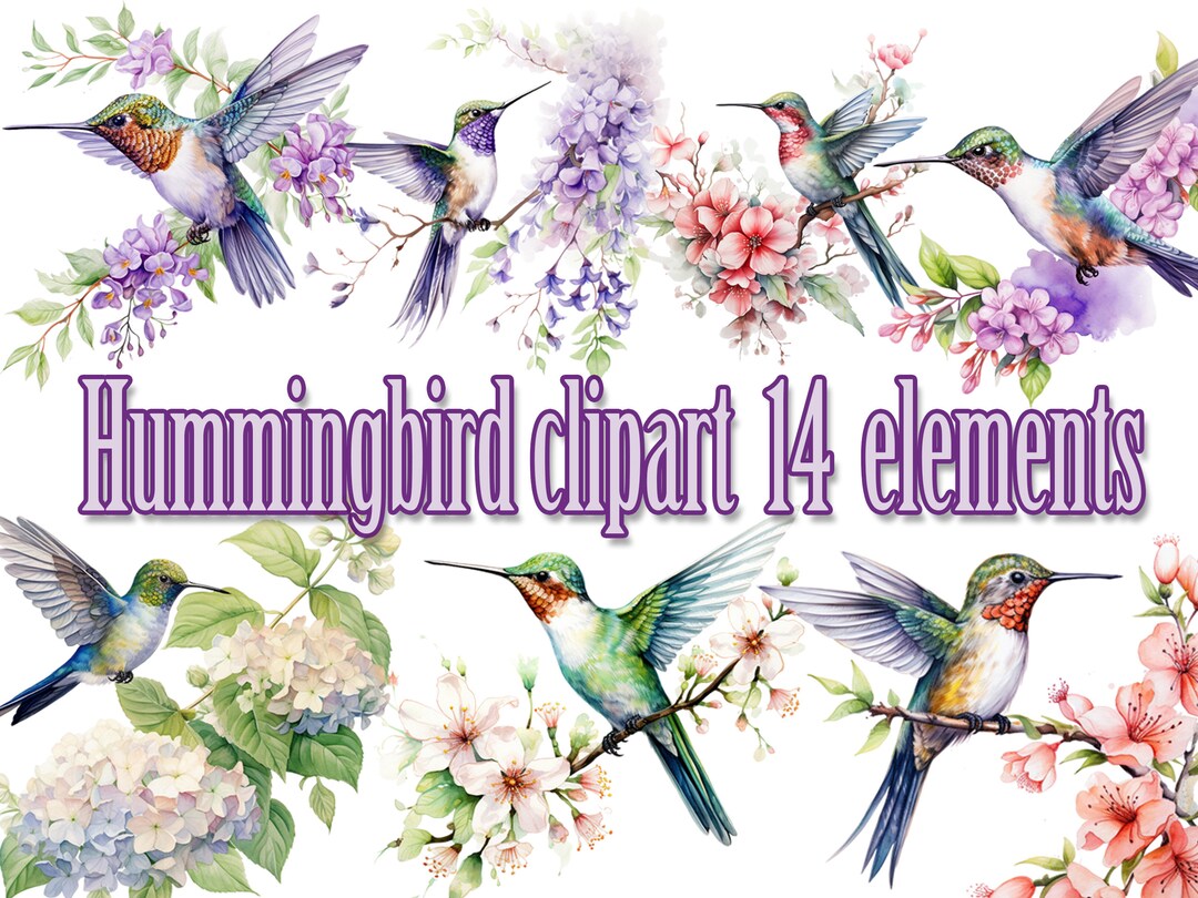 Watercolor Hummingbird Clipart,printable Hummingbird,hummingbird Png ...