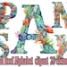 Sea Life Alphabet.coral Reef Letters Png,alphabet Coral Reef,monogram ...