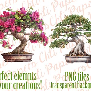 Bonsai Tree Clipart,watercolor Bonsai,bonsai Png,japanese Clipart ...
