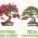 Bonsai Tree Clipart,watercolor Bonsai,bonsai Png,japanese Clipart ...