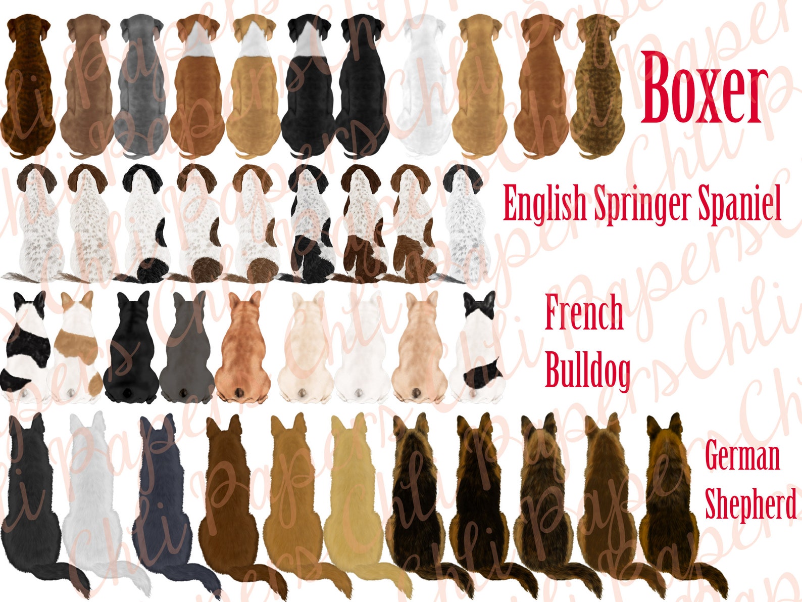 Dog Breeds Clipartdogs Clip Artpets Illustrationspuppies - Etsy