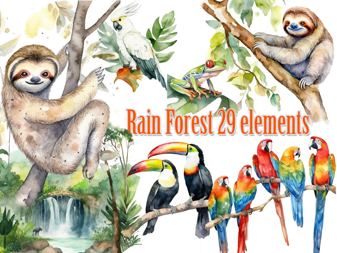 Rain Forest Clipart.jungle Clipart,sloth Clipart,toucan Clipart,macaws ...