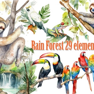 Rain Forest Clipart.jungle Clipart,sloth Clipart,toucan Clipart,macaws ...