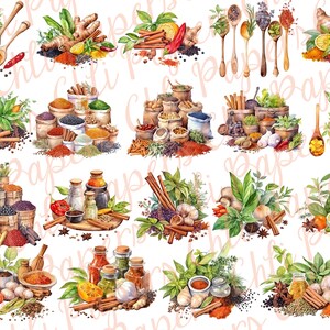 Watercolor Spices Clipart,herbs and Spices Clipart,spices Png,cooking ...