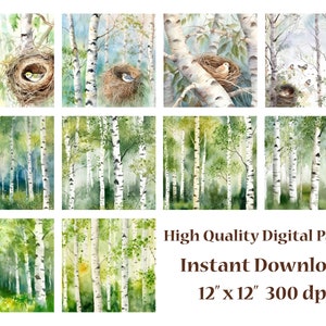 Green Forest Digital Paper,birch Digital Papers,birch Printable,forest ...