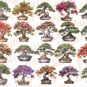 Bonsai Tree Clipart,watercolor Bonsai,bonsai Png,japanese Clipart ...