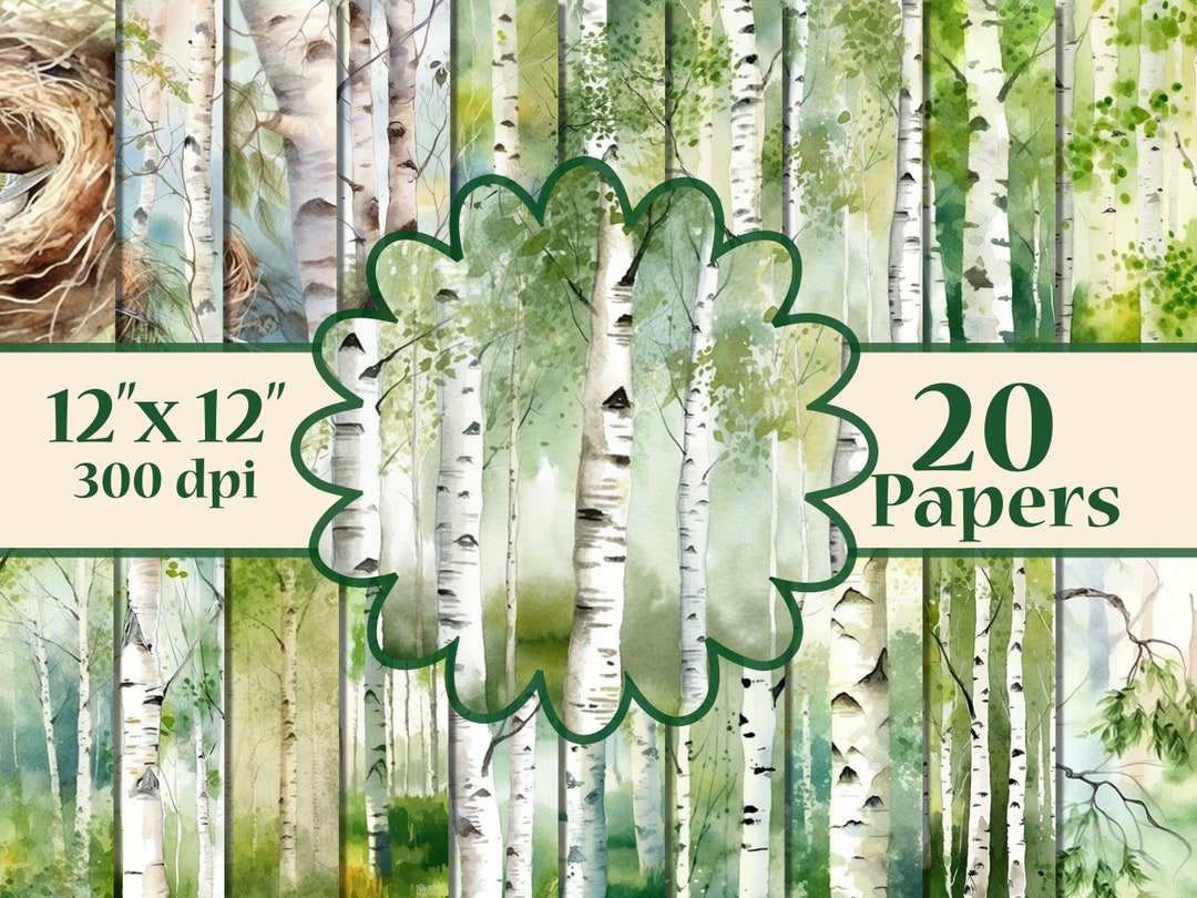 Green Forest Digital Paper,birch Digital Papers,birch Printable,forest ...