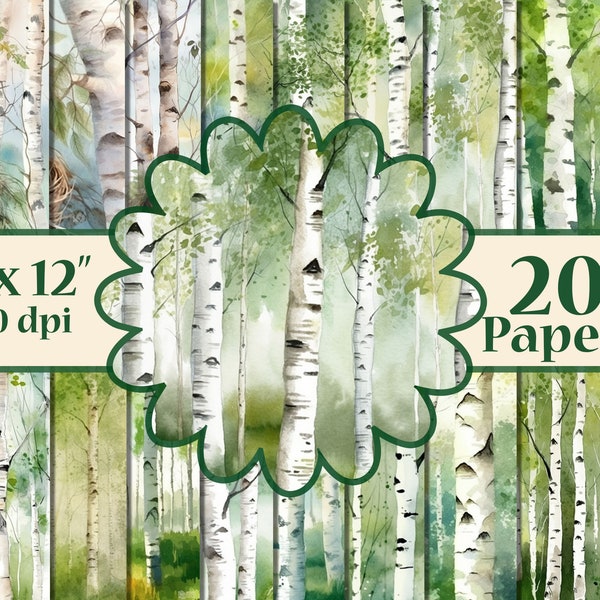 Spring Birch Trees - Etsy