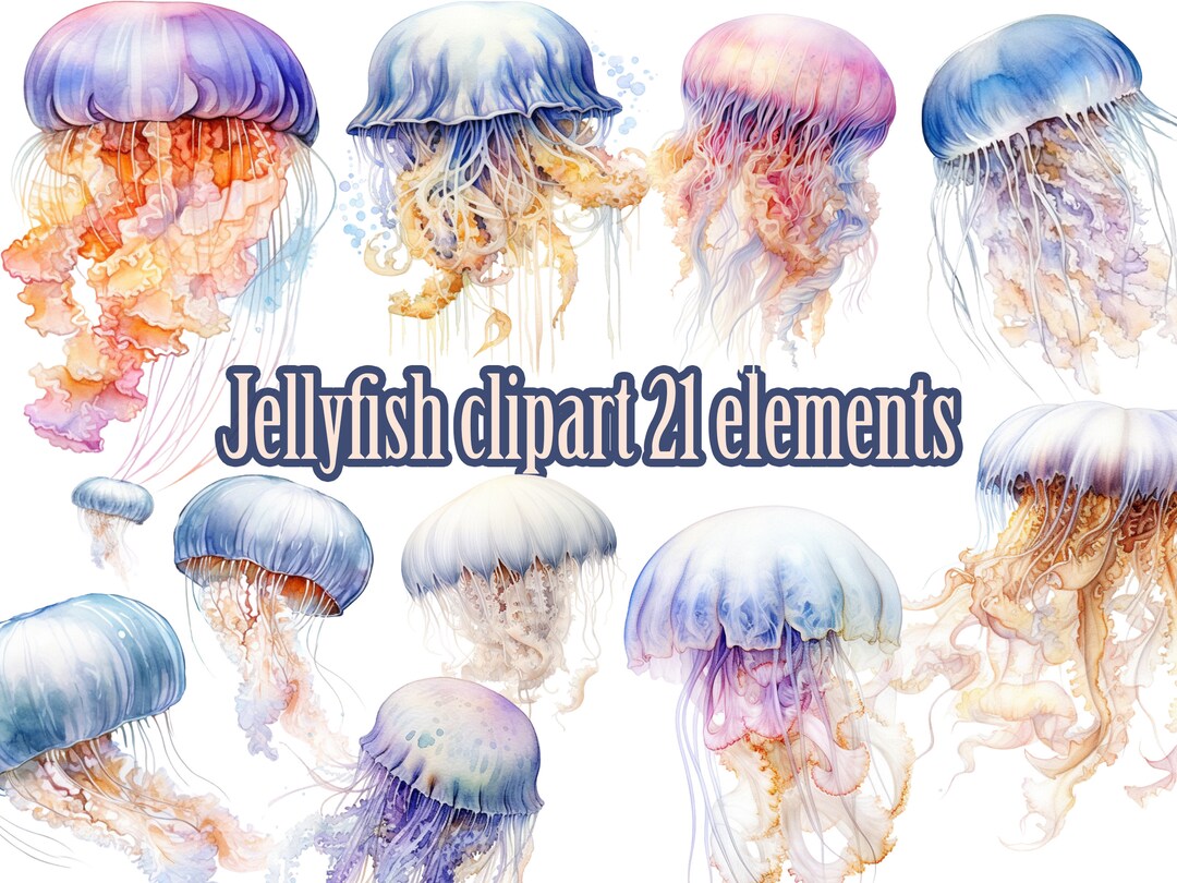 Aquarell Qualle Clipart, Meerestiere Png, Qualle Clipart, Qualle Druck ...