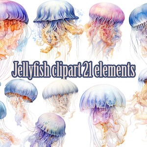 Watercolor Jellyfish Clipart,sea Creatures Png,jelly Fish Clipart ...