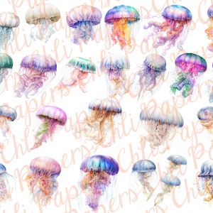 Watercolor Jellyfish Clipart,sea Creatures Png,jelly Fish Clipart ...
