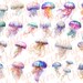 Watercolor Jellyfish Clipart,sea Creatures Png,jelly Fish Clipart ...