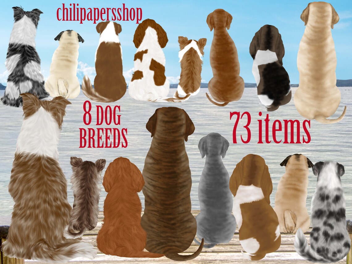 Dogs Clip Art,dog Breeds Clipart,pets Illustrations,puppies Clipart,dog ...