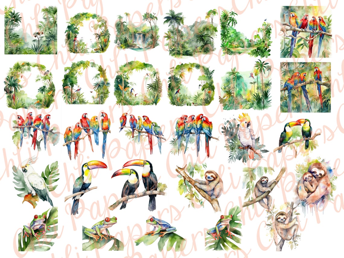 Rain Forest Clipart.jungle Clipart,sloth Clipart,toucan Clipart,macaws ...