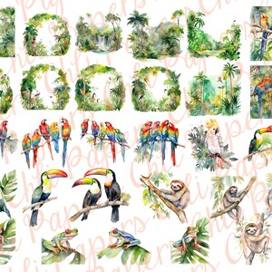 Rain Forest Clipart.jungle Clipart,sloth Clipart,toucan Clipart,macaws ...
