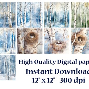 Winter Forest Digital Paper,birch Digital Papers,birch Printable,forest ...