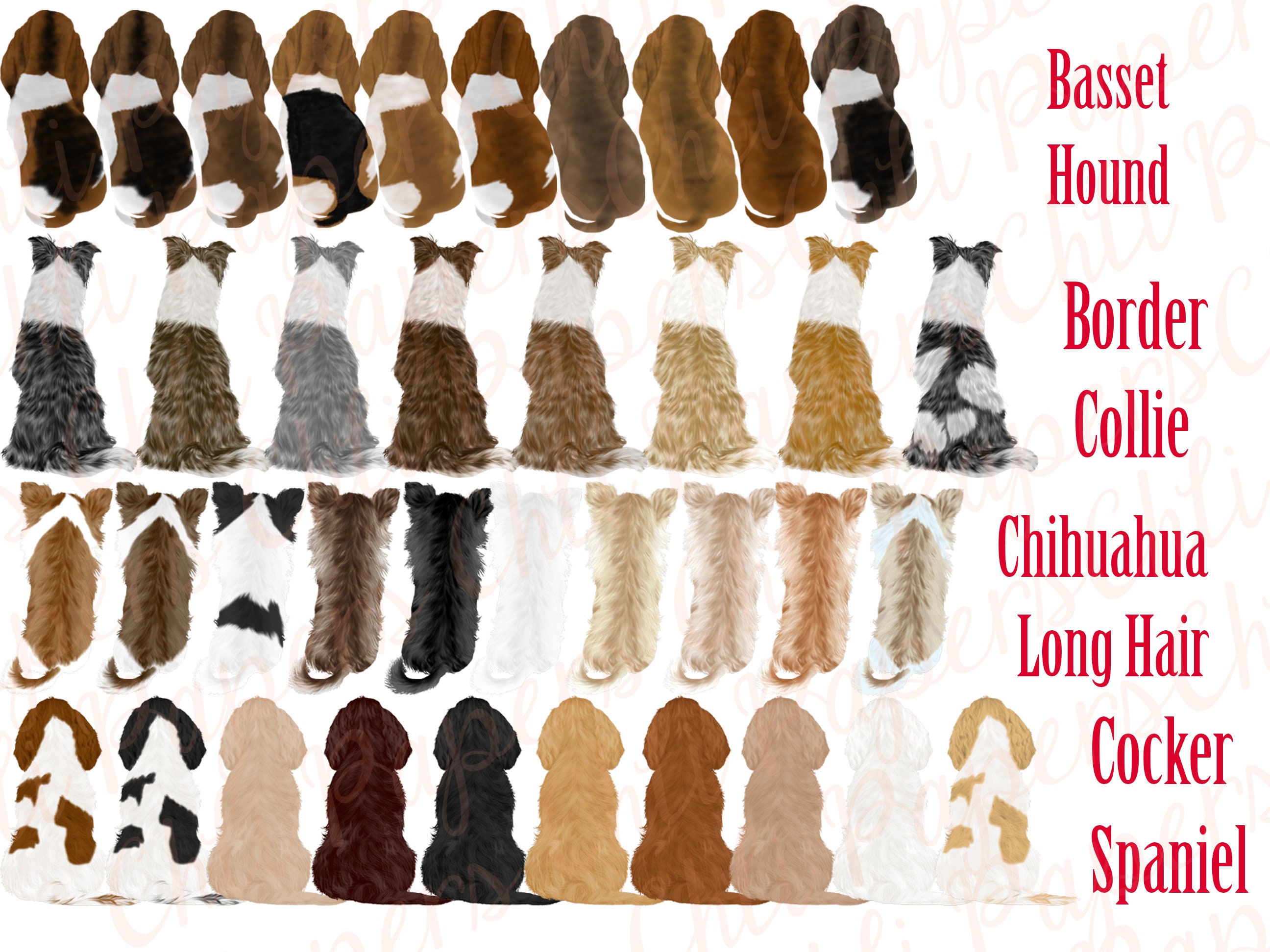 Dogs Clip Artdog Breeds Clipartpets Illustrationspuppies - Etsy