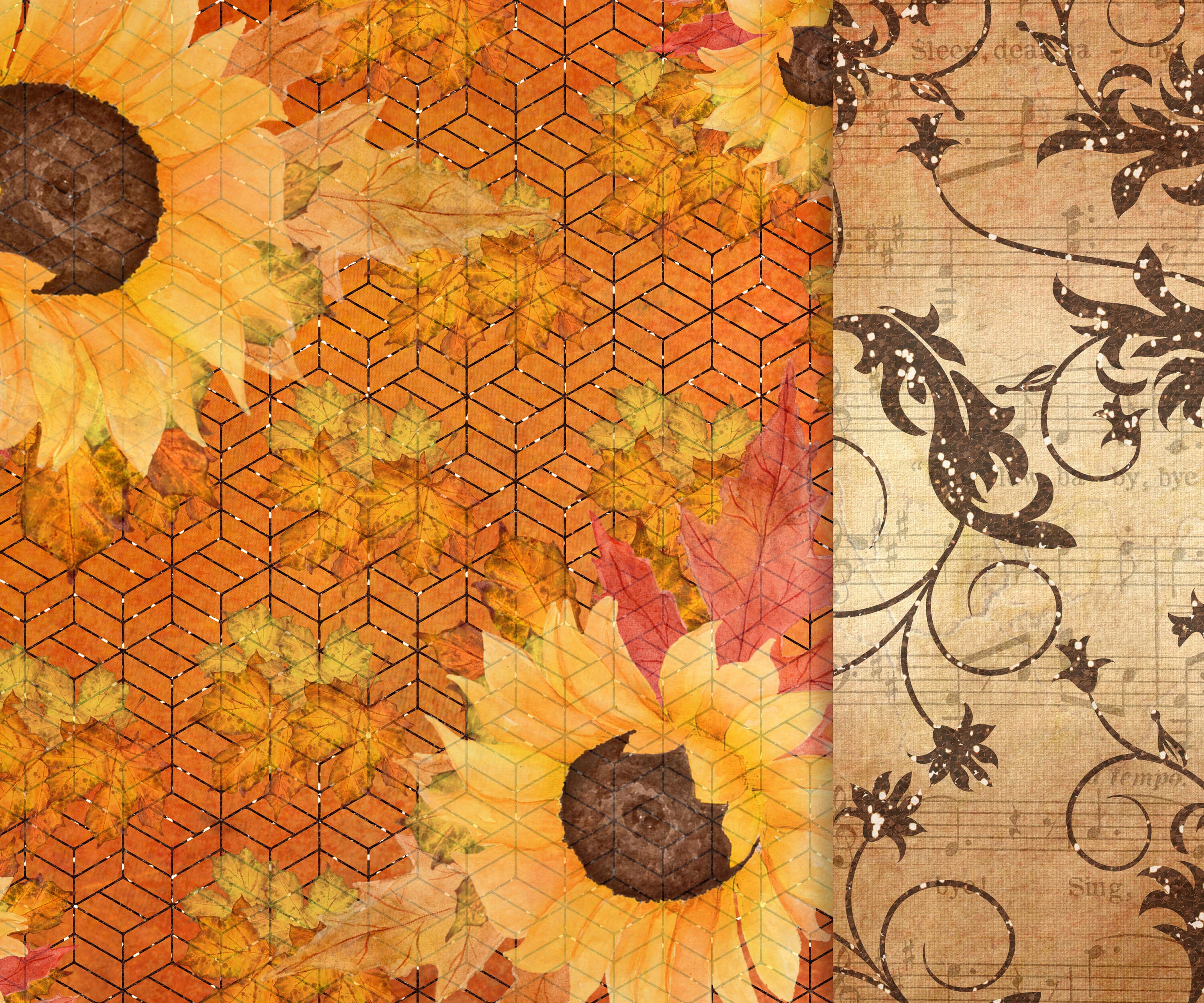 Fall Digital Papers: sunflower PAPER Pack Autumn | Etsy
