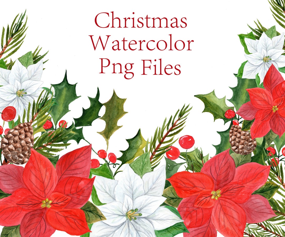 Poinsettias Clipart,watercolor Poinsettias, Christmas Clipart ...