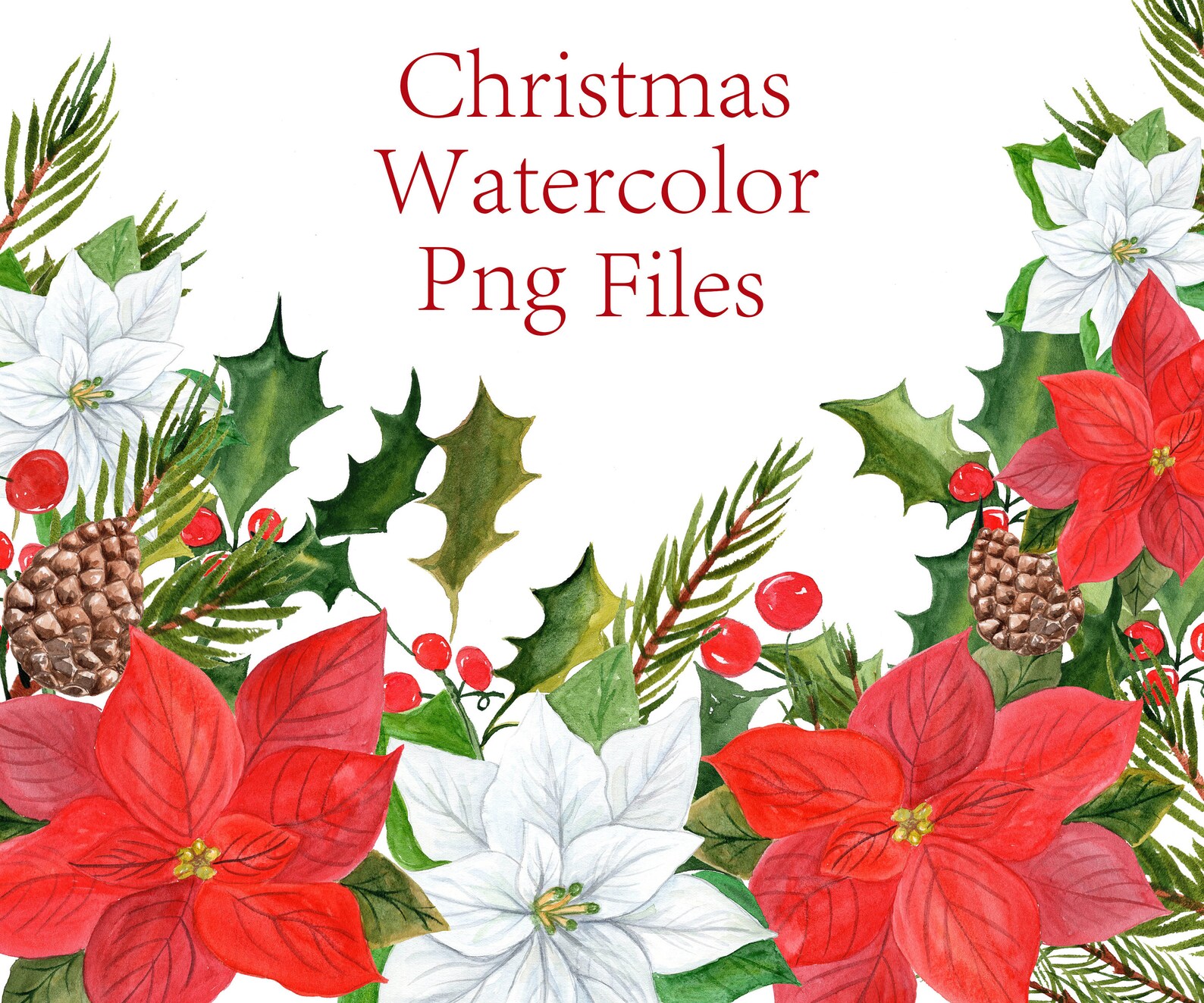 Poinsettias Clipartwatercolor Poinsettias Christmas Clipart | Etsy