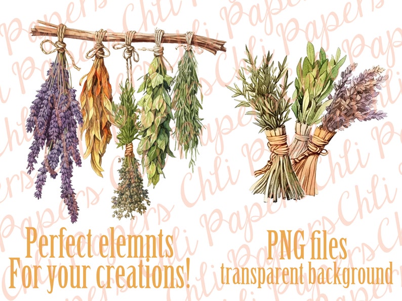 Dried Herbs Clipart,watercolor Herbs,hanging Herbs Png,culinary Herbs ...
